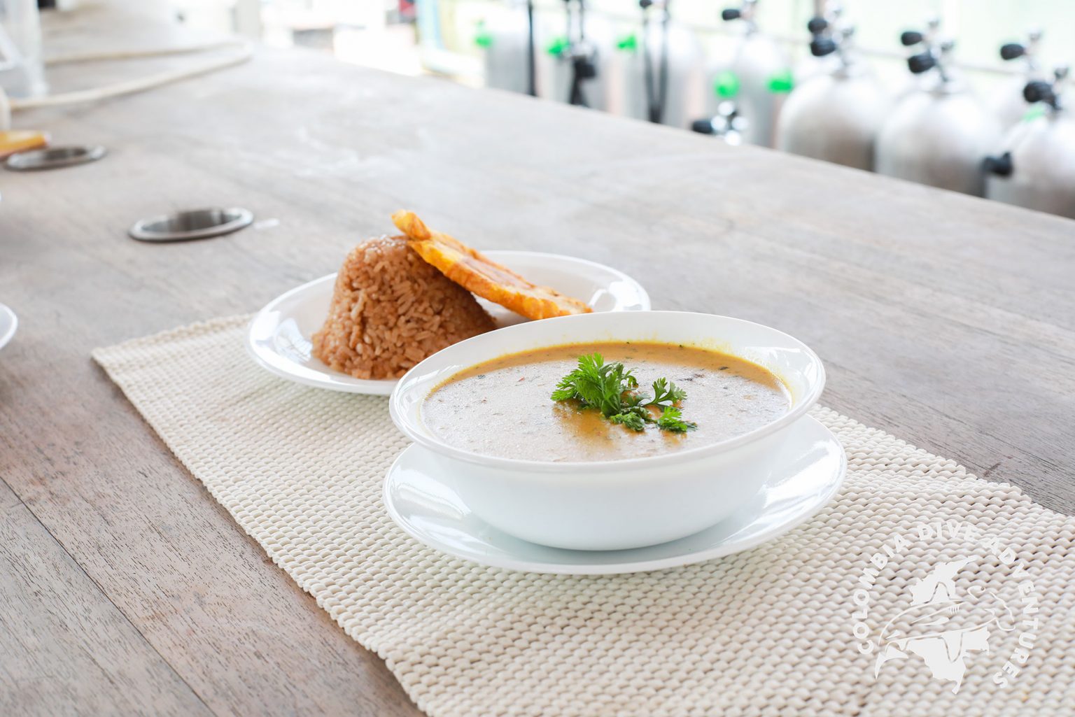 Ferox & Vivax Tauchsafari Malpelo